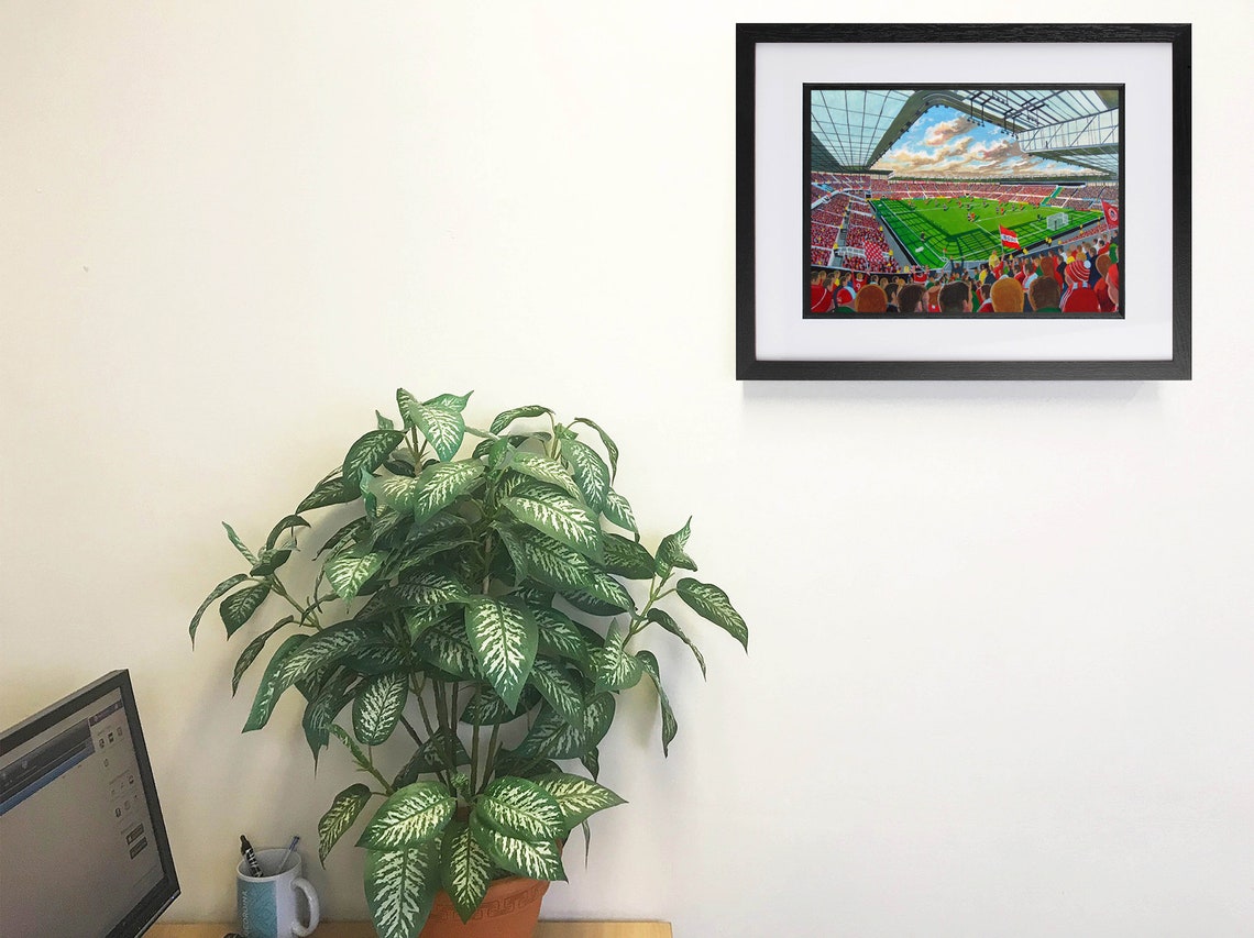 Middlesbrough Football Club - Riverside Stadium Art Print - Etsy UK