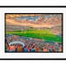 The Stoop Stadium Fine Art Print - Harlequins Rugby Union - Etsy UK