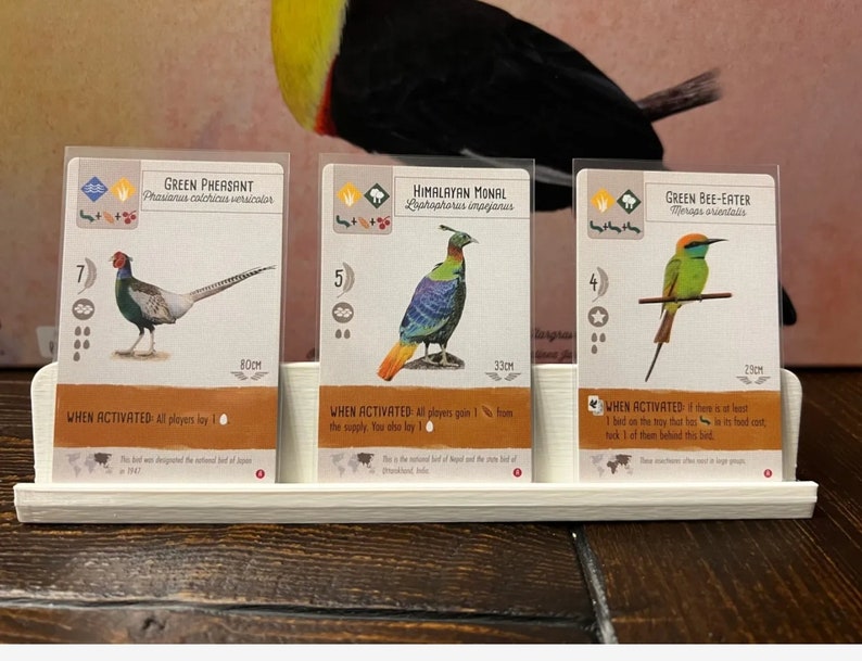 Wingspan Nesting Box 3D Printed Insert - Etsy