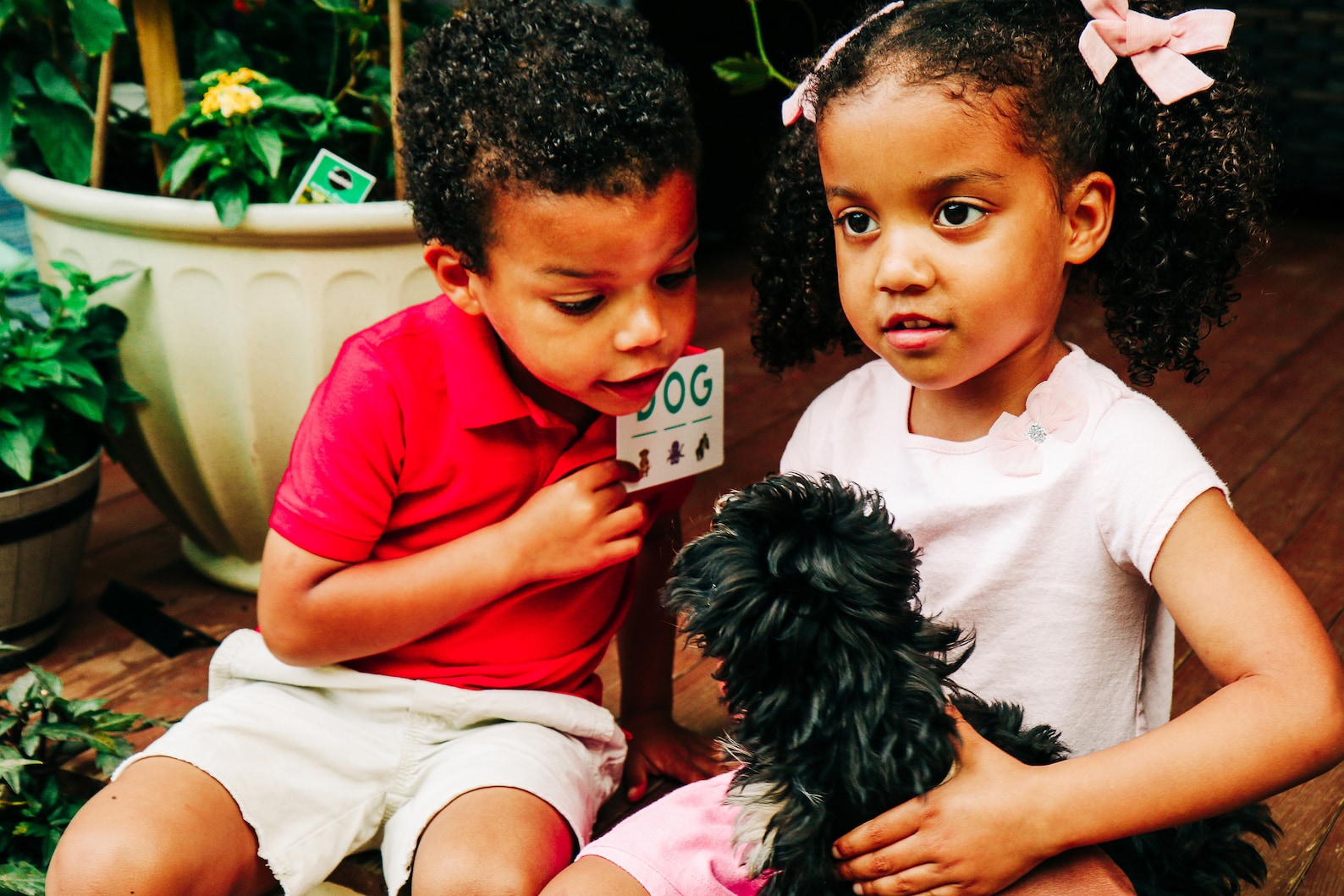 ABC See, Hear, Do Flashcards: Uppercase CVC Words Level 1 - Etsy