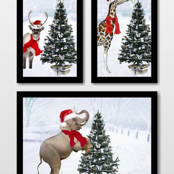 Backdrop Trio - Etsy