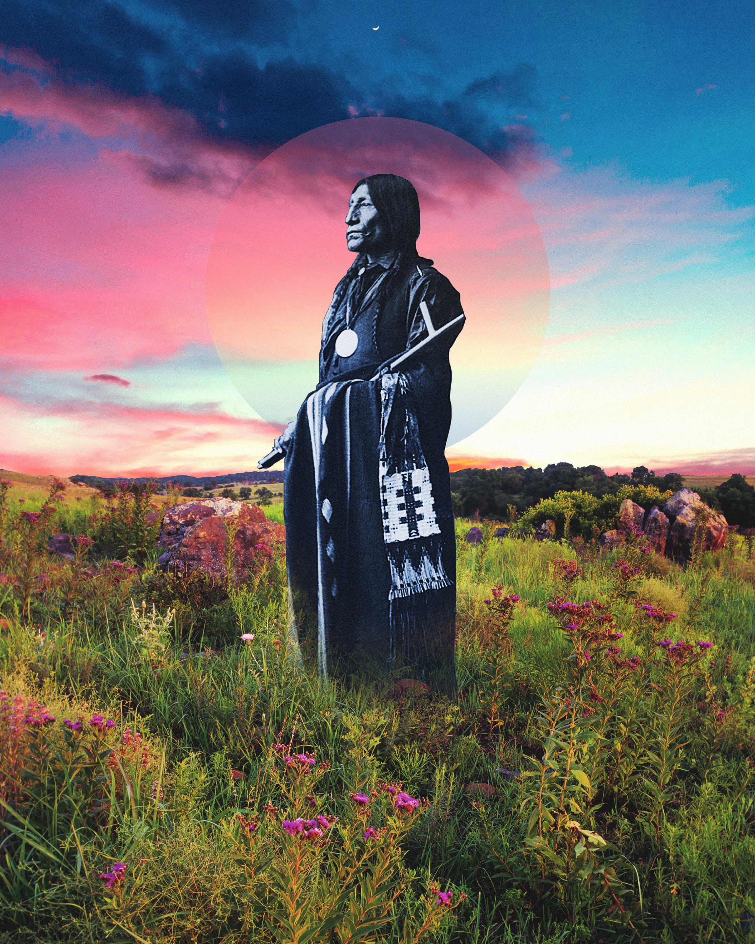 Chief Wolf Robe - Etsy