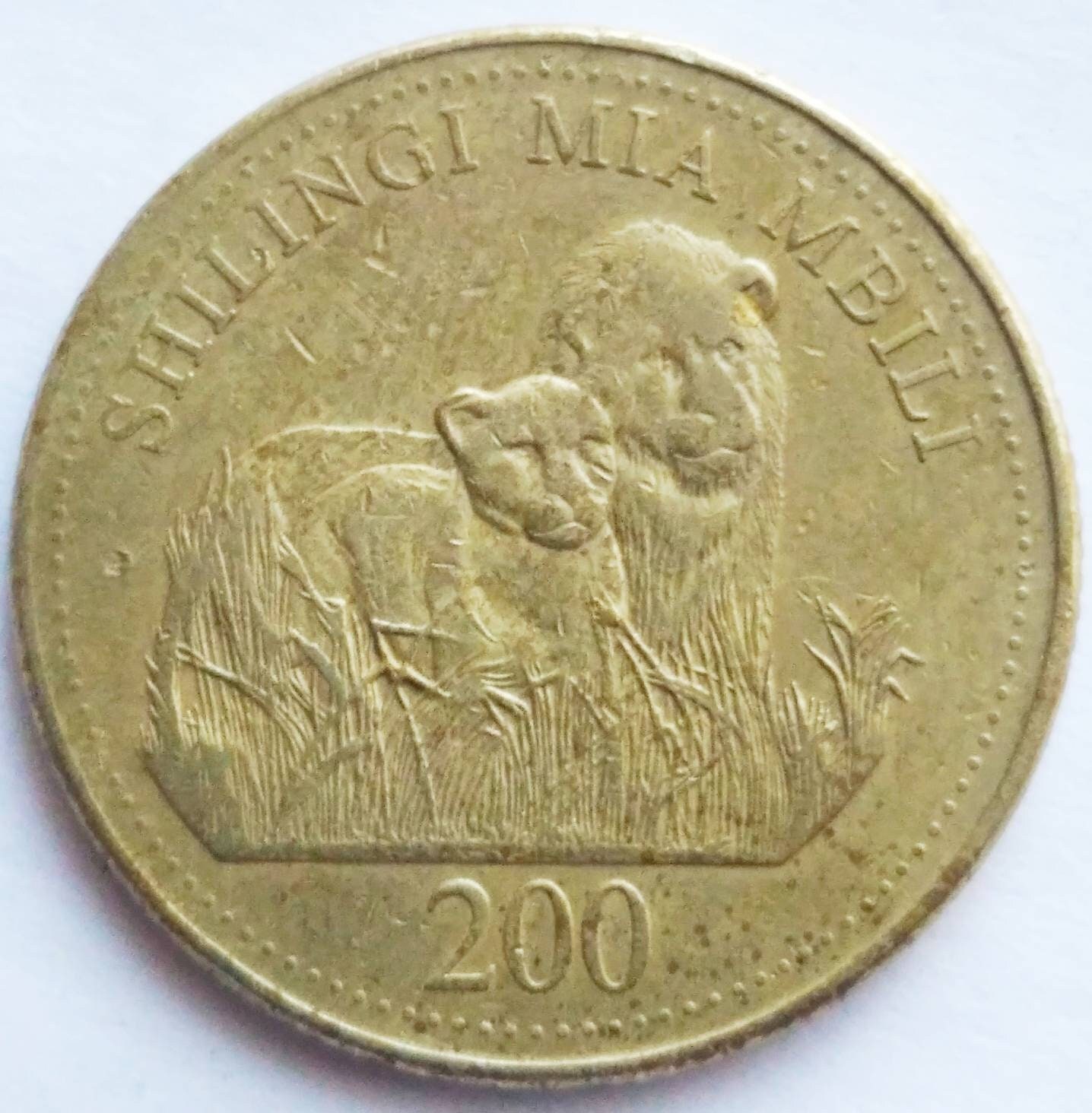 Tanzanian Shilling Coins