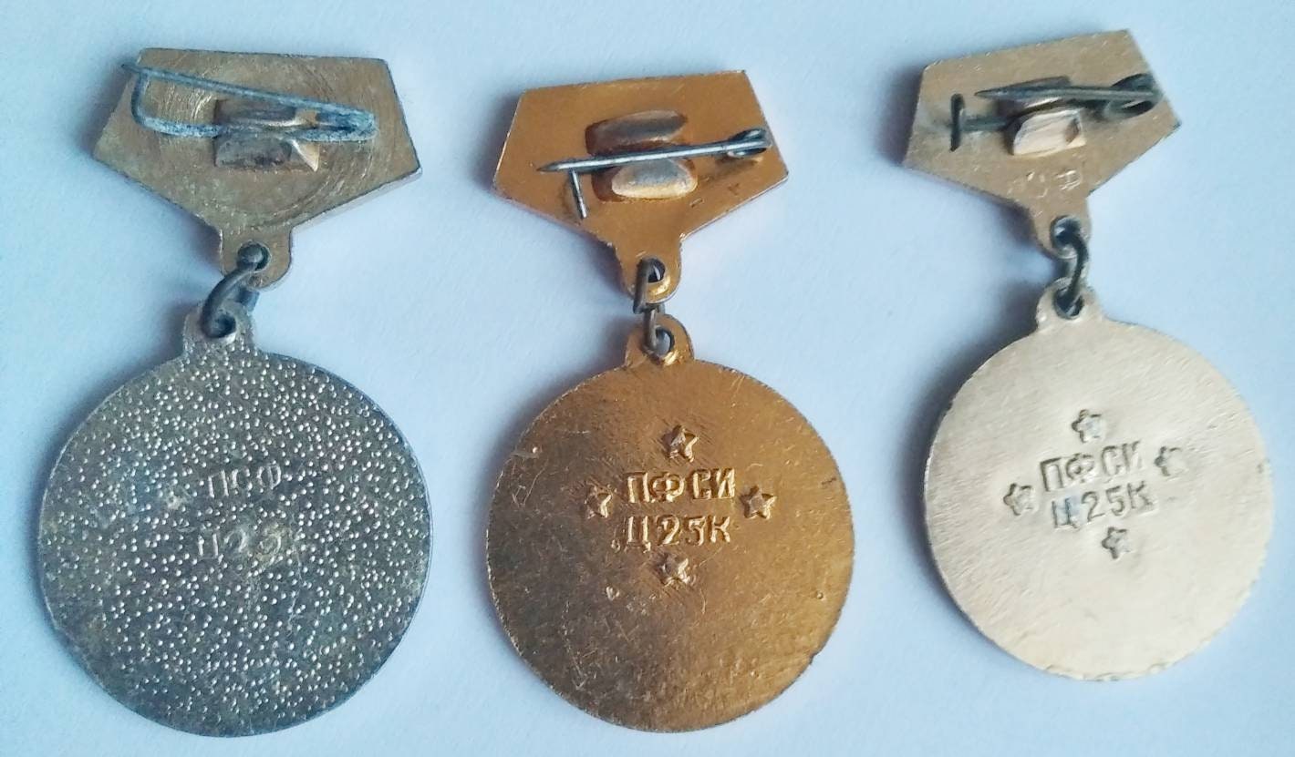 Soviet badge Caucasus old soviet badge | Etsy