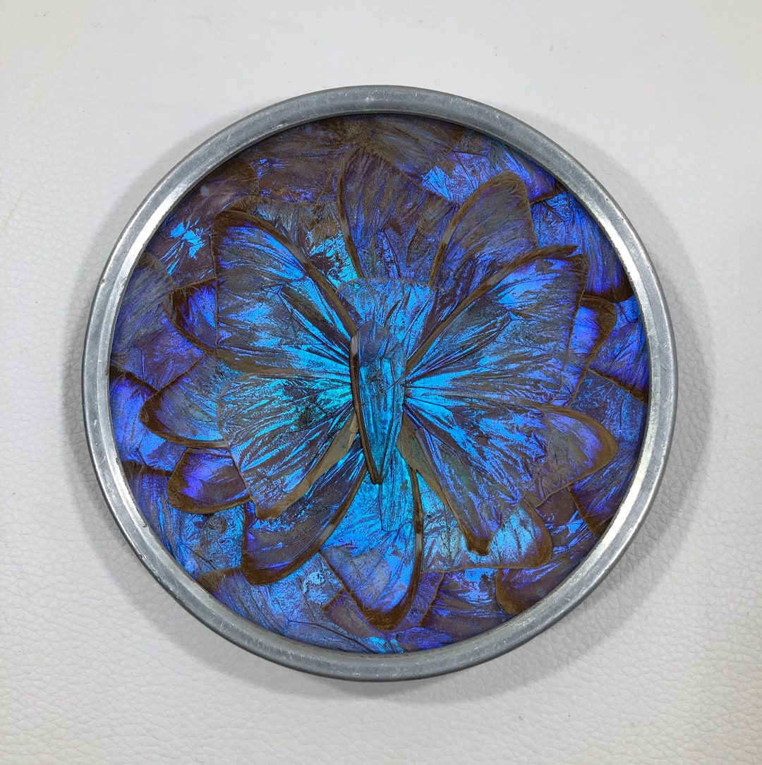 Brazilian BLUE MORPHO BUTTERFLY Wings Display Plate 4.75 - Etsy