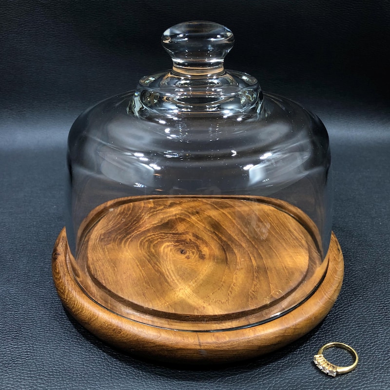 Cheese Cloche - Etsy