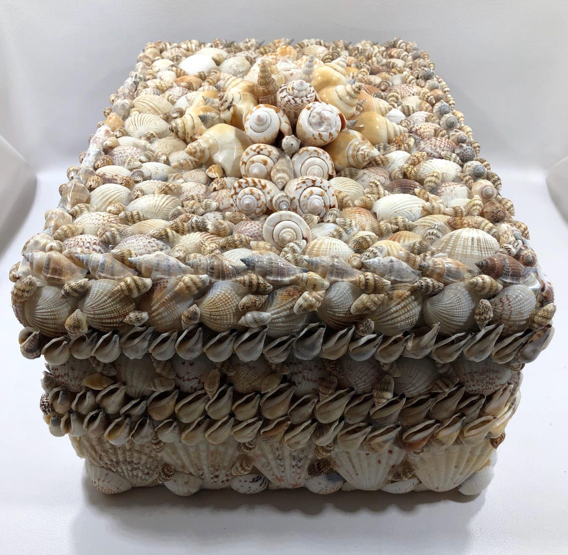 Sea Shell Encrusted DECORATIVE STORAGE BOX 16" X 11"~ Hand Crafted ...