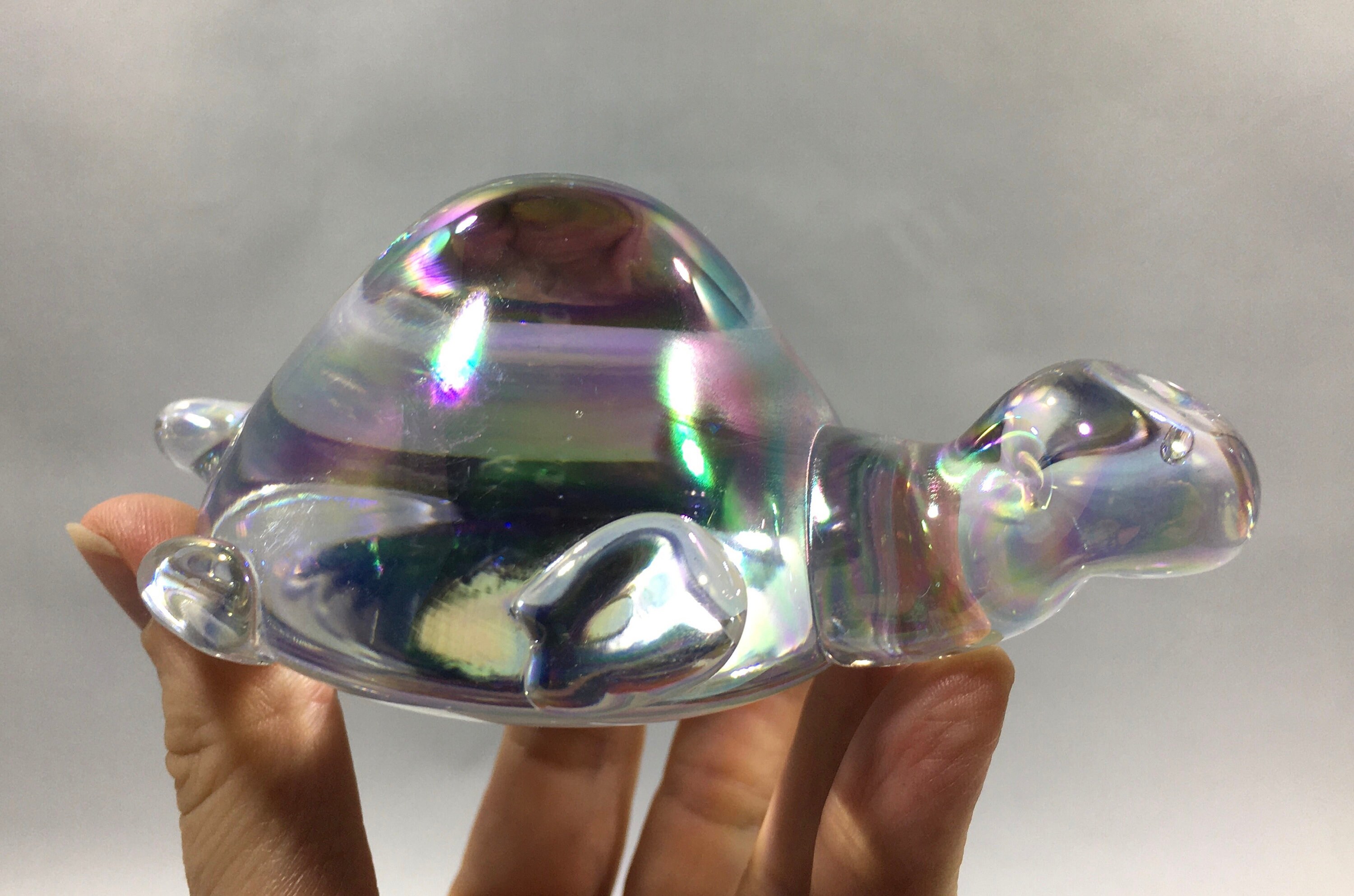 IRIDESCENT TURTLE PAPERWEIGHT by Simson Clear Holographic - Etsy