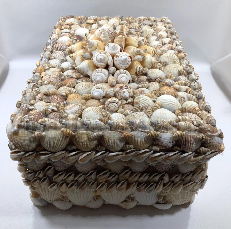 Sea Shell Encrusted DECORATIVE STORAGE BOX 16" X 11"~ Hand Crafted ...