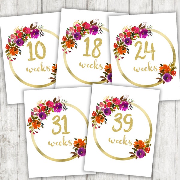 Pregnancy Weekly Signs - Etsy