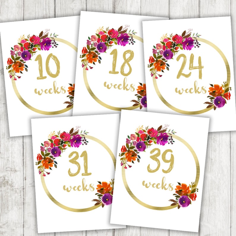Weekly Pregnancy Photo Prop Printable Pregnancy Weeks - Etsy