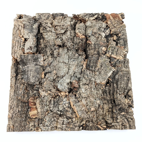 Bark - Etsy