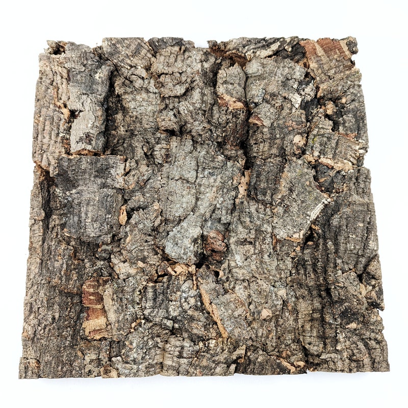 Cork Tile - Etsy