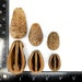 Pear Pods - Etsy