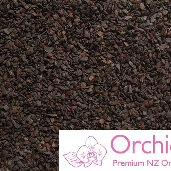 Small Orchids Plants - Etsy