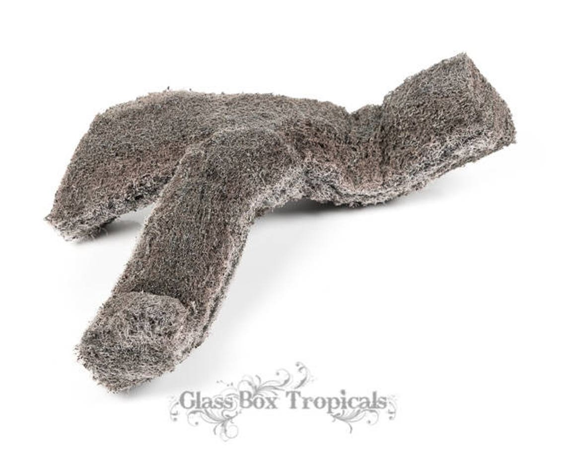 Epiweb Branch - Small (25cm) - Etsy