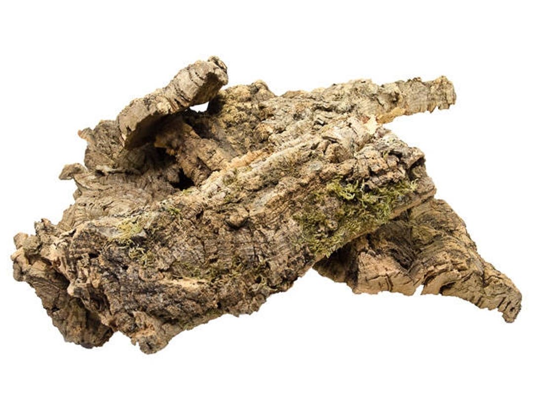 Bulk Virgin Cork Flats - 5lbs - Etsy