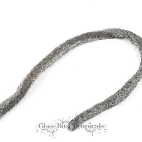 Epiweb Branch Small 25cm - Etsy