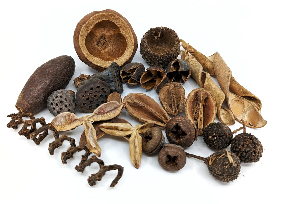 Mini Pods Pack - Etsy