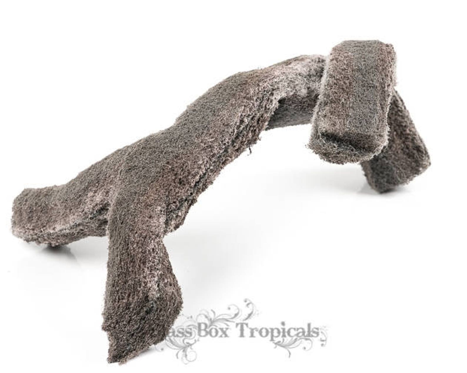 Epiweb Branch - Medium (40cm) - Etsy
