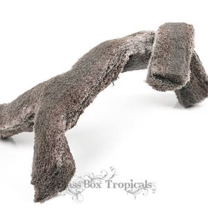 Epiweb Branch - Medium (40cm) - Etsy