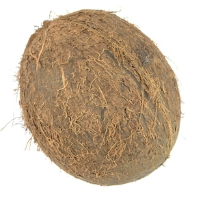 Whole Coconut Shell - Emptied Out - Etsy