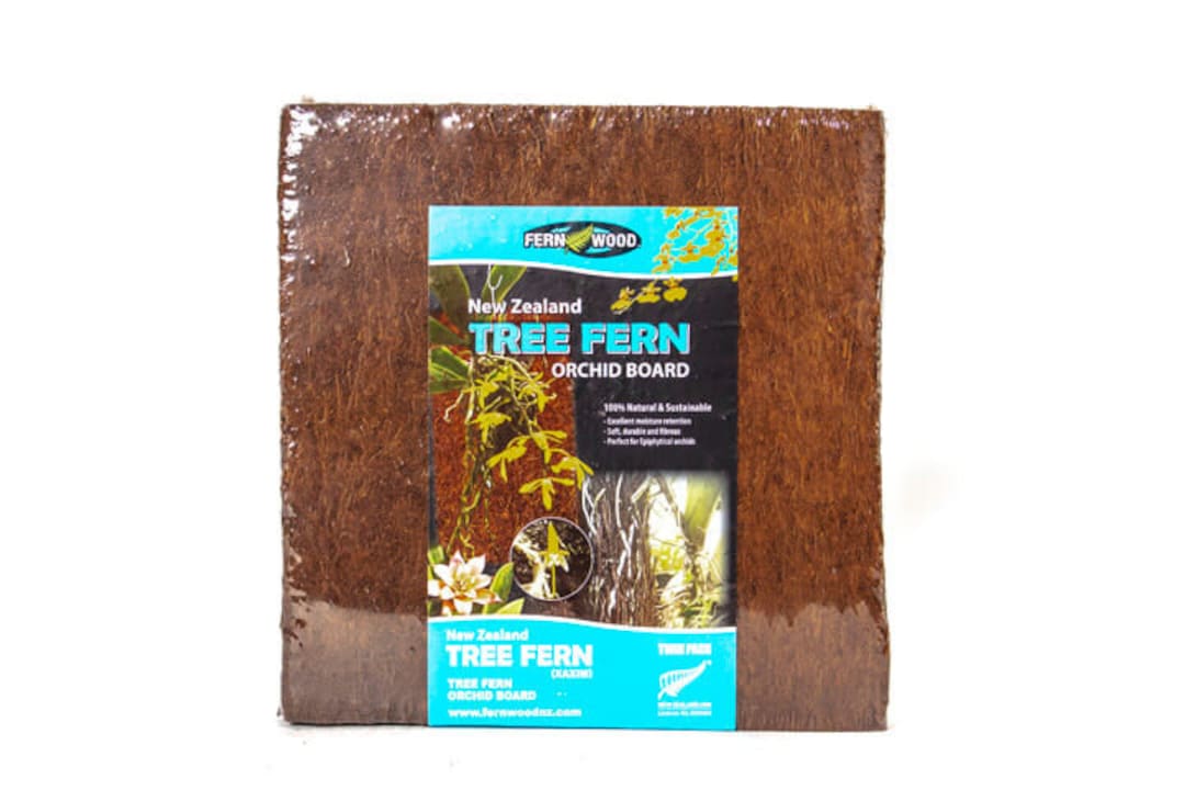 Fernwood (2) 12" X 12" New Zealand Fern Wood Tree Fern Fiber Plaque - Etsy