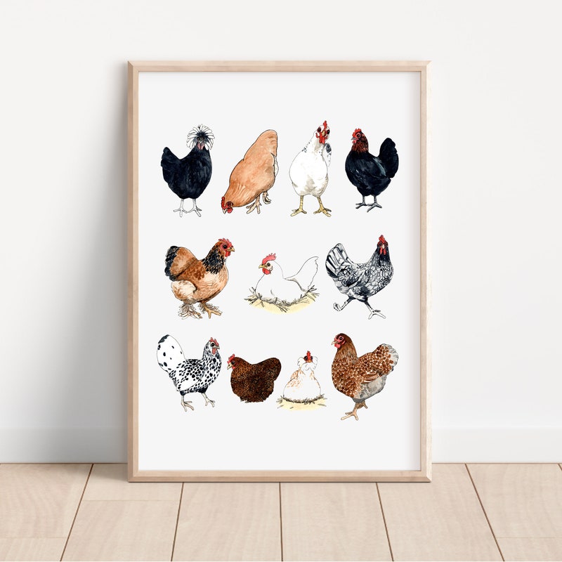 Chicken Print - Etsy