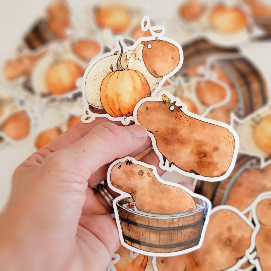 Capybara Stickers 3 Pack - Etsy