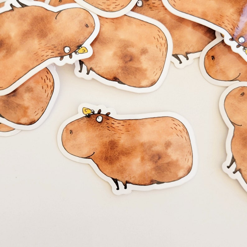 Capybara Stickers 3 Pack - Etsy