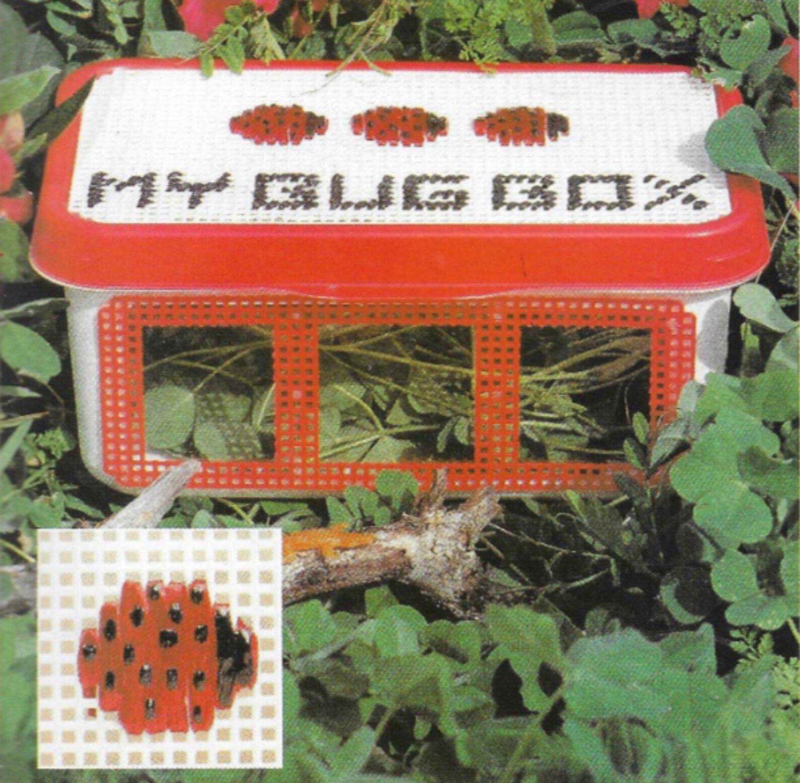 Bug Box, Articulated Snake, Frog Plastic Canvas Pattern PDF - Etsy