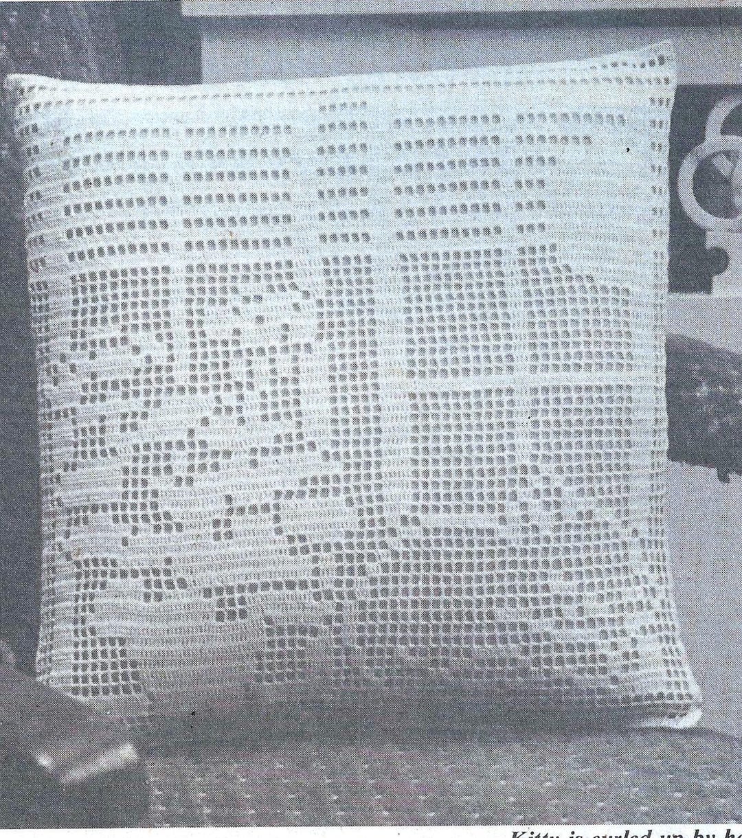 Vintage Crochet Filet Cat in a Window Pattern PDF - Etsy