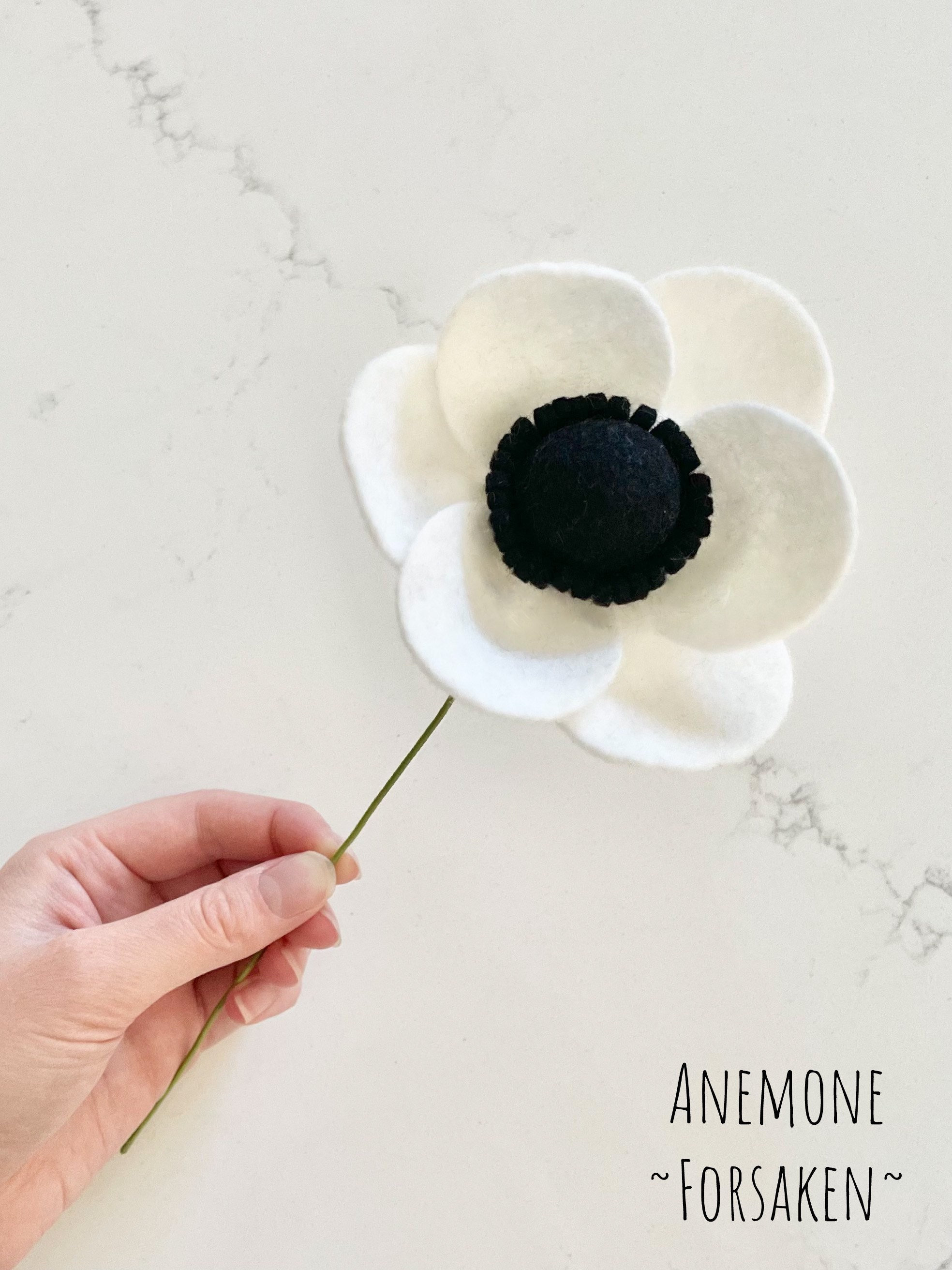 Felt Anemone, Build Your Own Bouquet, Language of Flowers, Forsaken ...