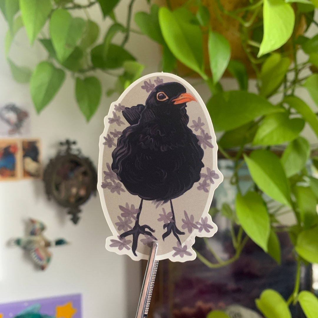 Common Blackbird Sticker | Bird Sticker - Etsy