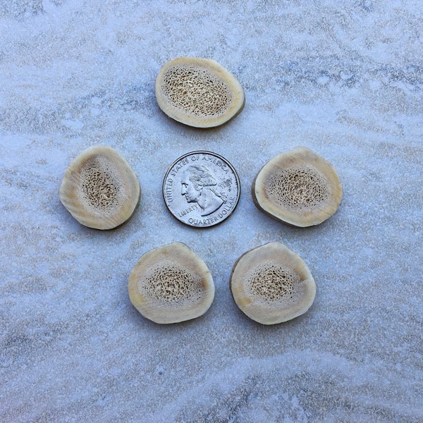 Deer Antler Buttons - Etsy