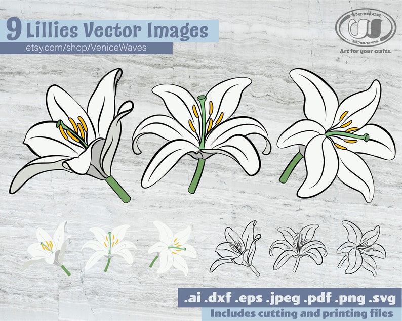 Lilly SVG Lilly Cut File Lilly Clipart Lilly PDF Lilly - Etsy España