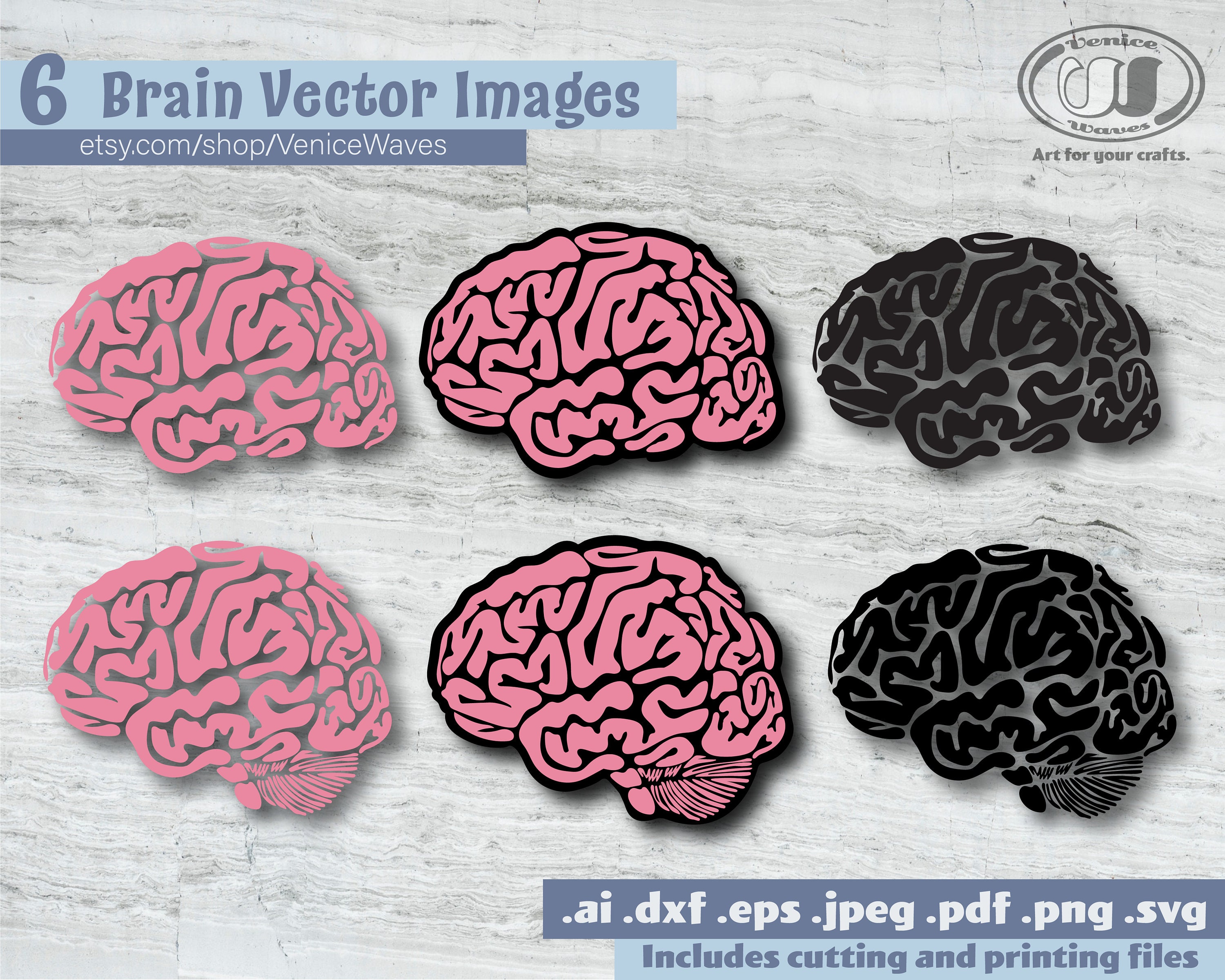 Brain SVG Brain Cut File Brain Clipart Brain PDF Brain | Etsy