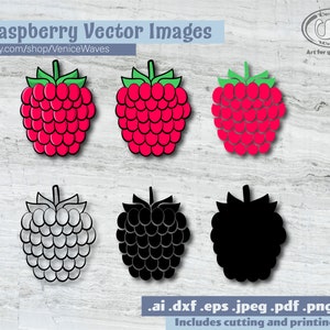 Raspberry SVG, Raspberry Cut File, Raspberry Clipart, Raspberry PDF ...