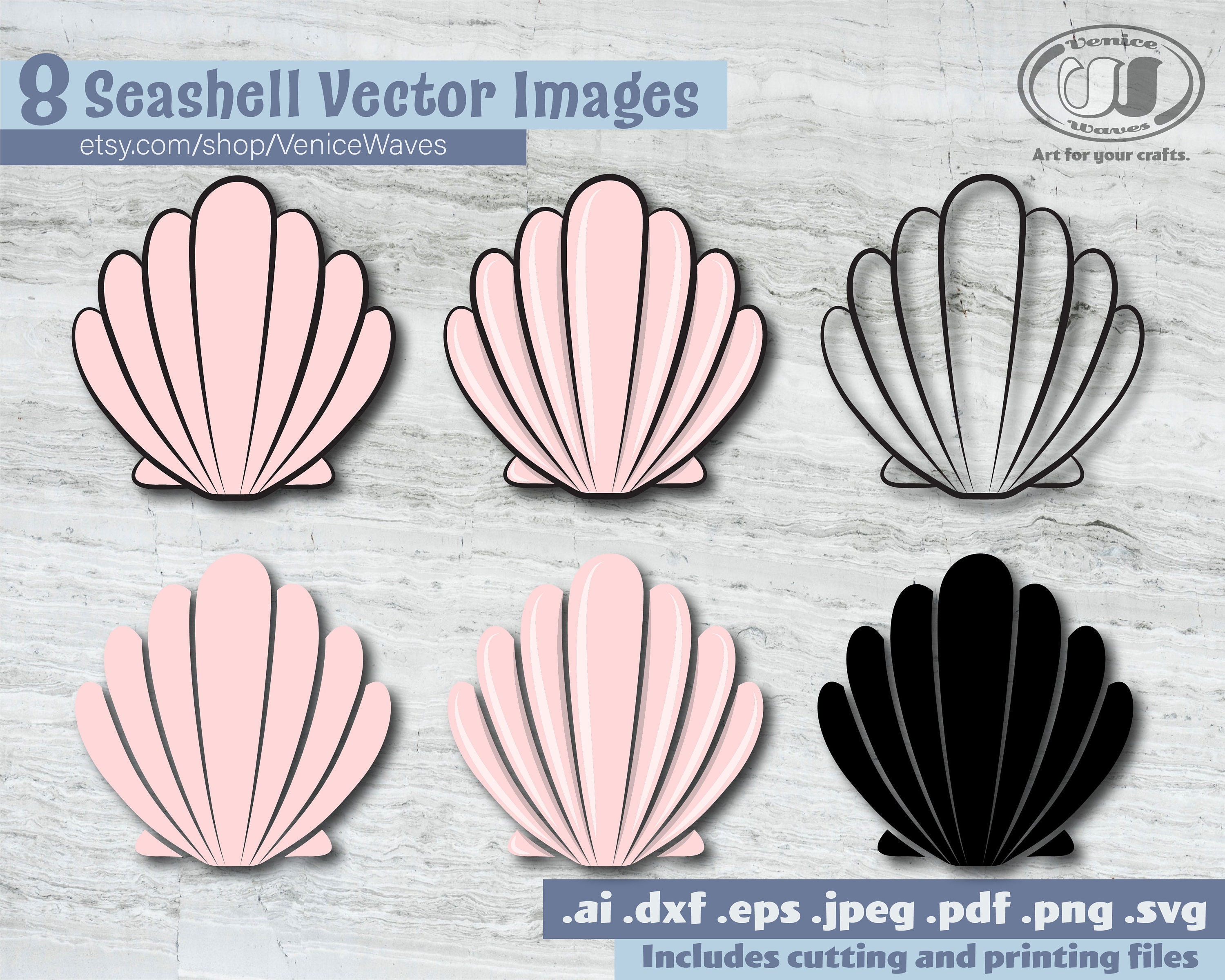 Seashell SVG Seashell Cut File Seashell Clipart Seashell | Etsy