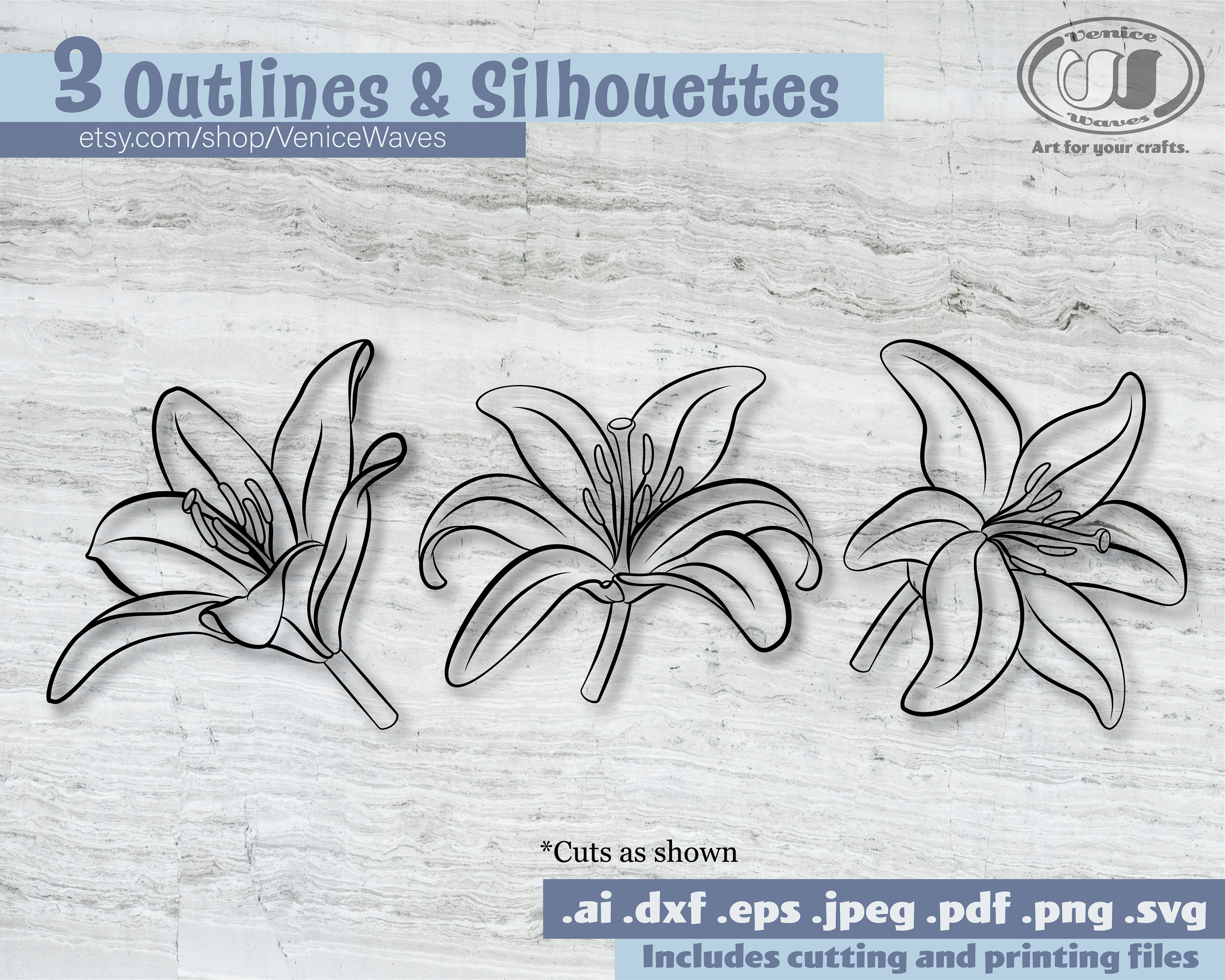 Lilly SVG Lilly Cut File Lilly Clipart Lilly PDF Lilly - Etsy