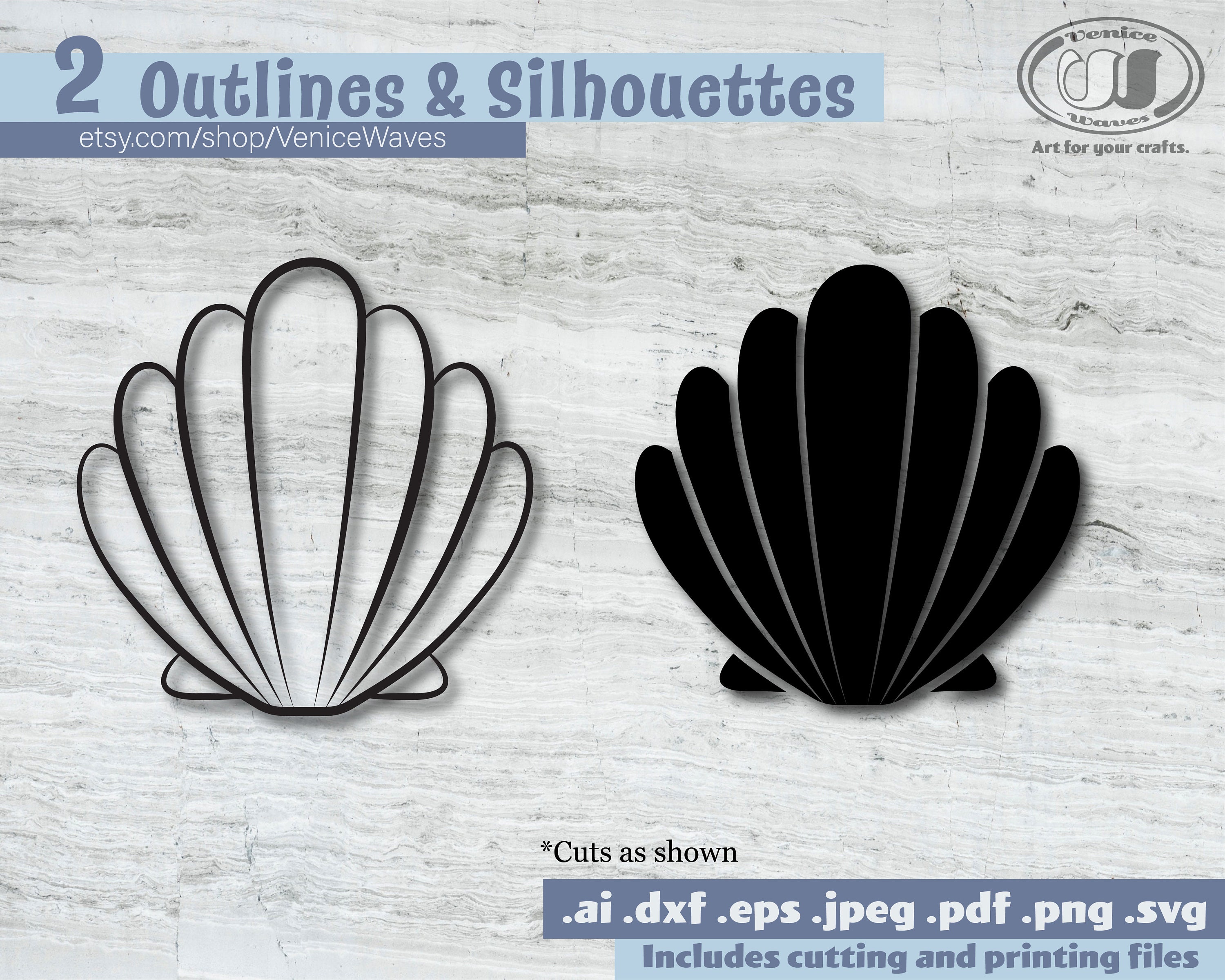 Seashell SVG Seashell Cut File Seashell Clipart Seashell | Etsy