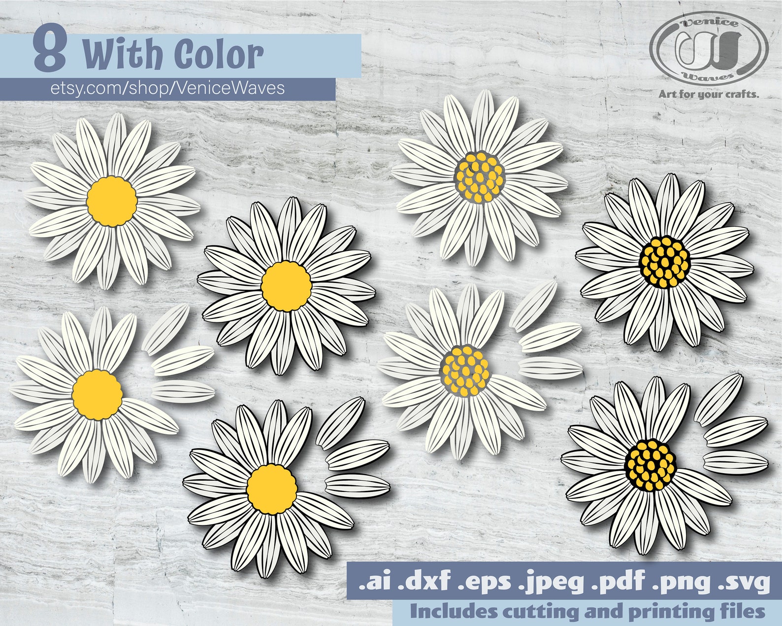 Detailed Daisy SVG Daisy Cut File Daisy Clipart Daisy PDF - Etsy