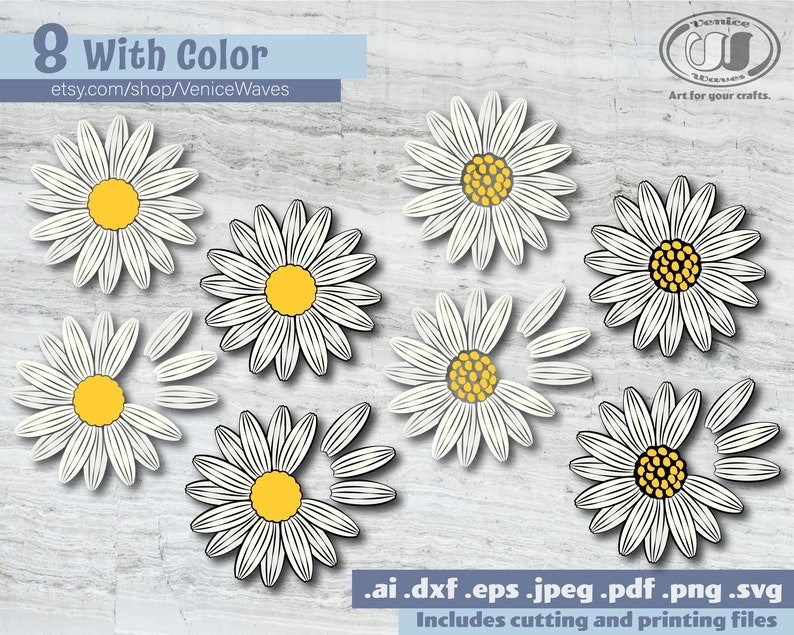 Detailed Daisy SVG Daisy Cut File Daisy Clipart Daisy PDF | Etsy