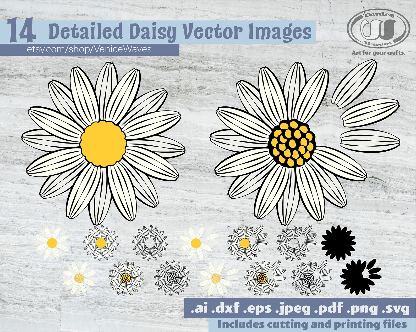 Detailed Daisy SVG, Daisy Cut File, Daisy Clipart, Daisy PDF, Daisy ...