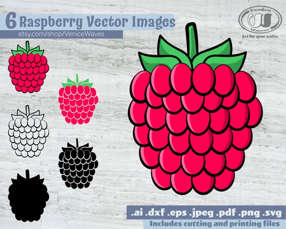 Raspberry SVG Raspberry Cut File Raspberry Clipart - Etsy Finland
