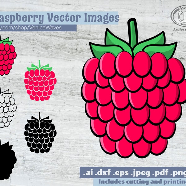 Raspberry Svg - Etsy