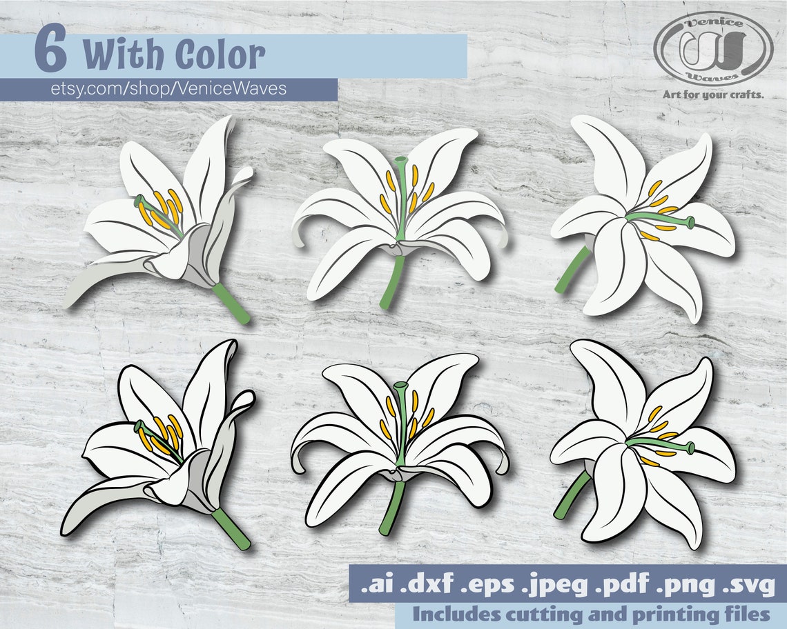 Lilly SVG Lilly Cut File Lilly Clipart Lilly PDF Lilly - Etsy