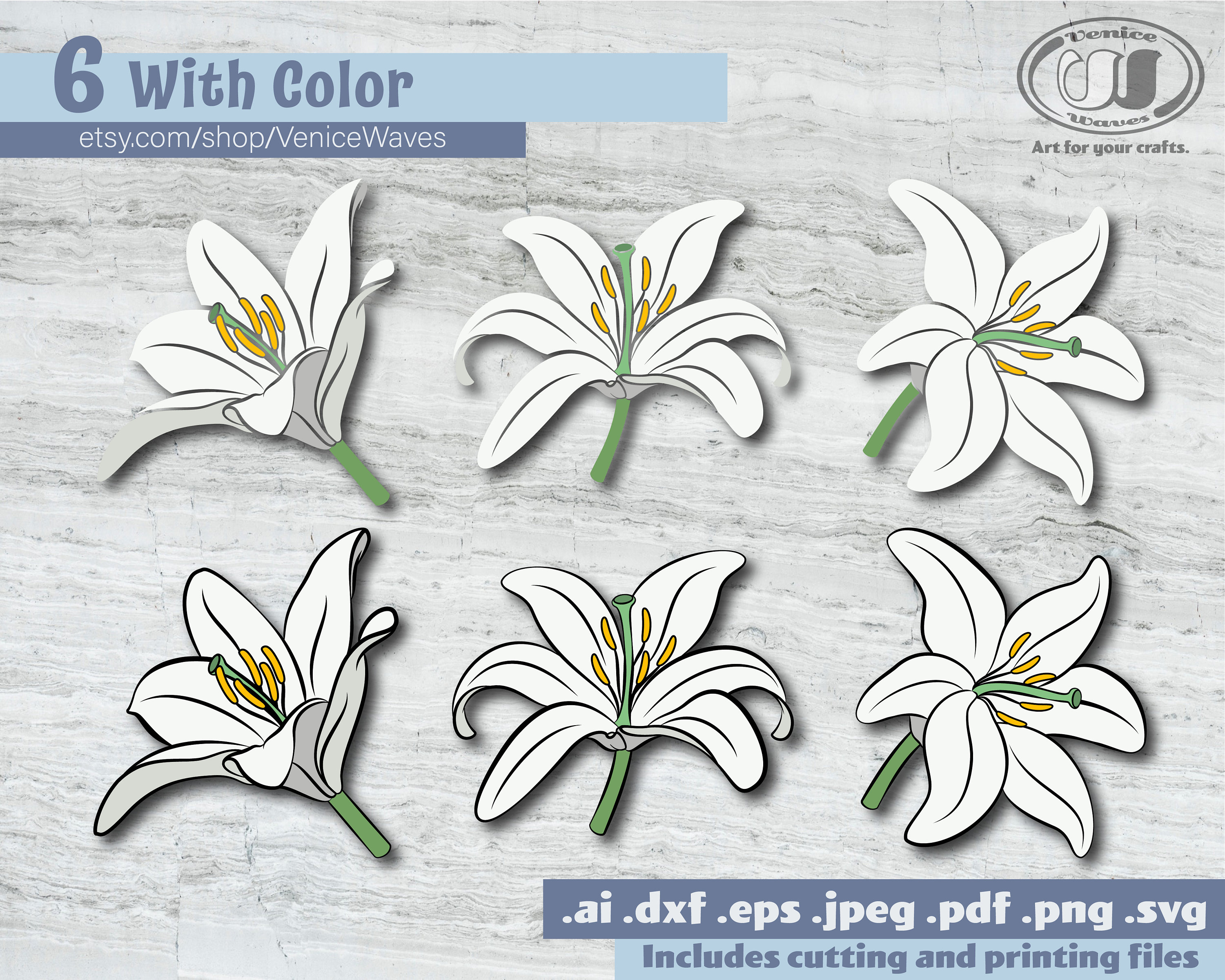 Lilly SVG Lilly Cut File Lilly Clipart Lilly PDF Lilly - Etsy