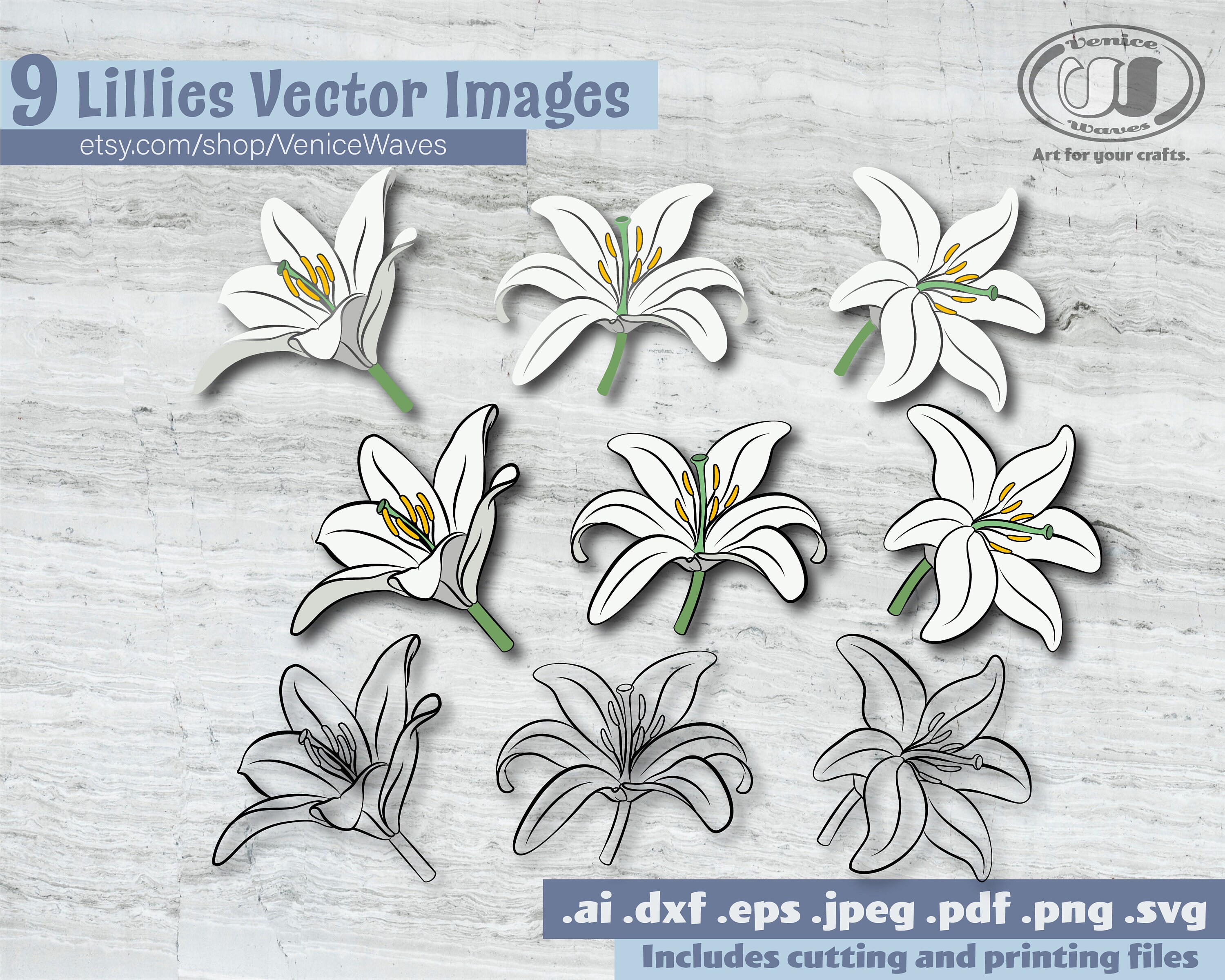 Lilly SVG Lilly Cut File Lilly Clipart Lilly PDF Lilly - Etsy