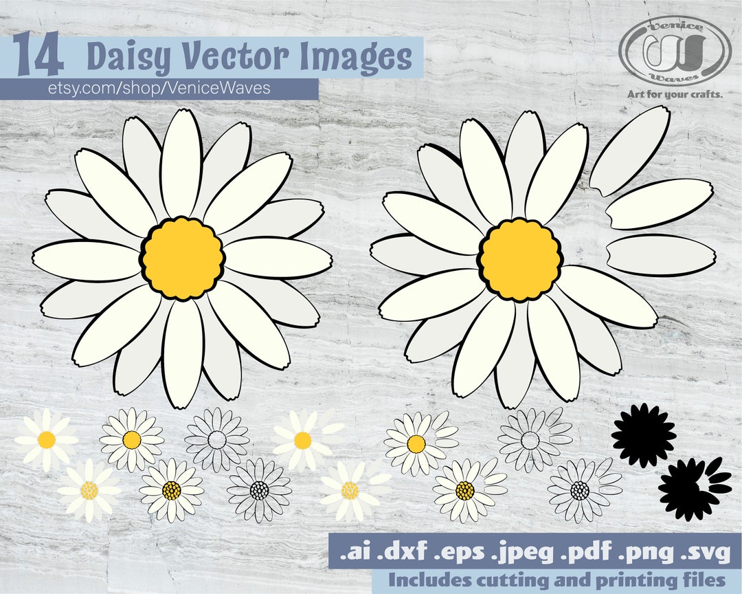 Daisy SVG, Daisy Cut File, Daisy Clipart, Daisy PDF, Daisy Download ...